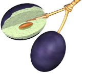 Centre national de ressources Hôtellerie-Restauration - Comprendre ...